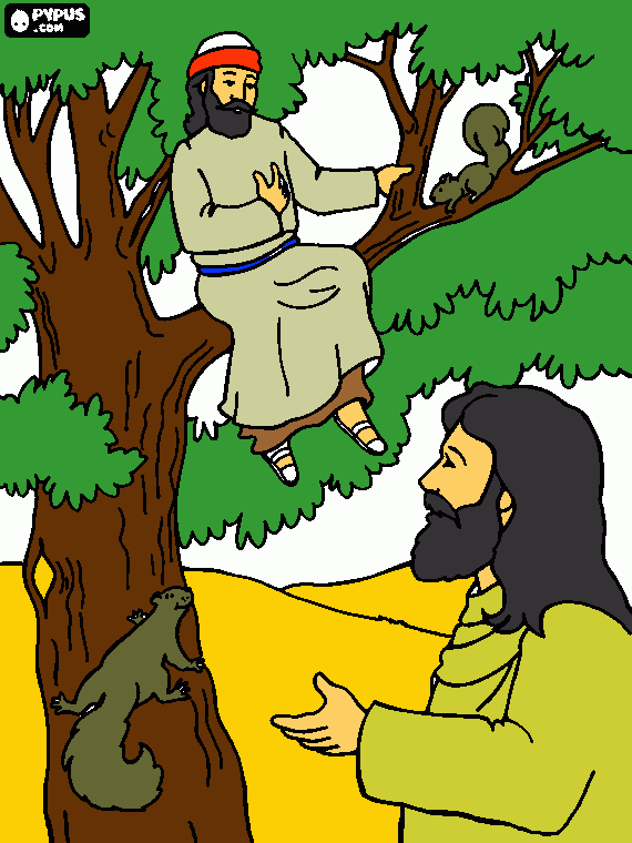 Zaqueo coloring pages